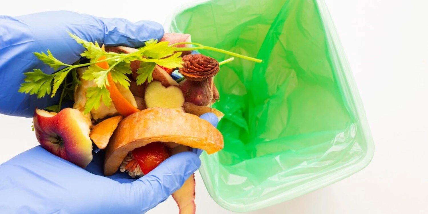 How Can Lincoln's New Food Recycling Program Promote Sustainability ...