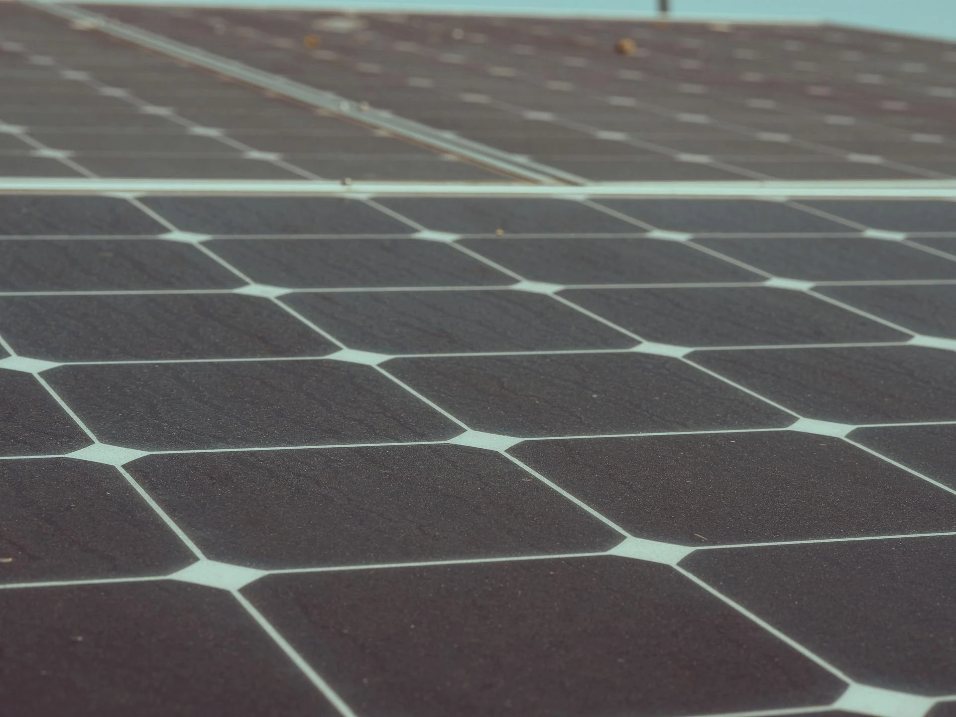 Mars Commits to Renewable Energy Across Supply Chain | Manufacturing ...